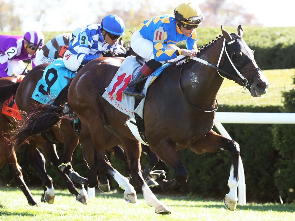 Private Creed sets stakes record in Indian Summer S. - Spendthrift - A ...