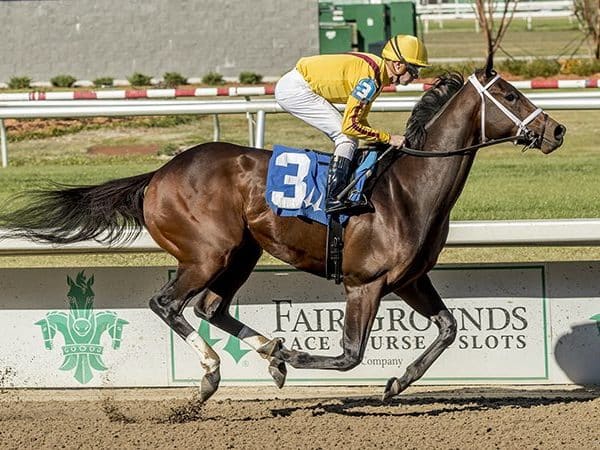Undefeated Corona Bolt electrifies, becomes 6th SW for Bolt d'Oro ...