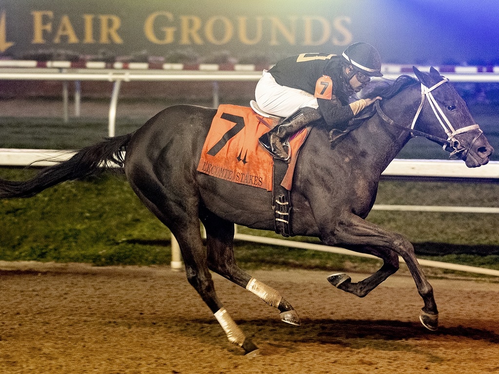 Bolt d'Oro's Instant Coffee very strong in Lecomte S. (G3) victory ...
