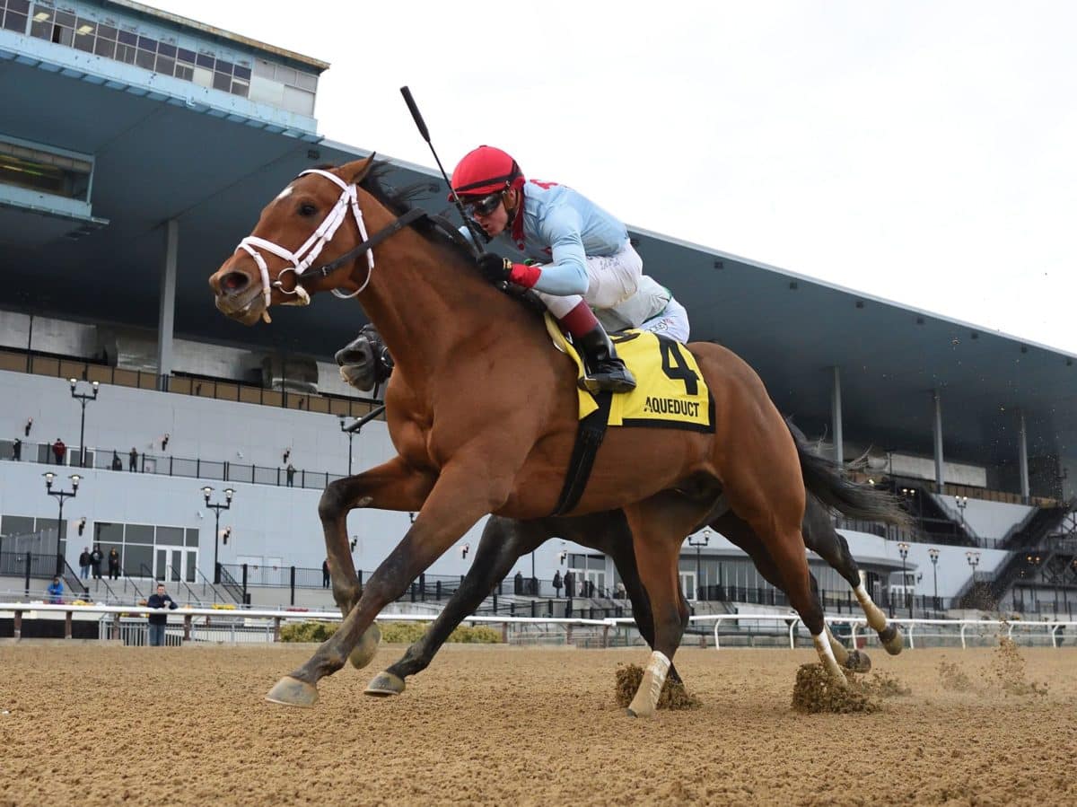 Goldencents colt enters Derby picture with gritty Jerome S. win ...