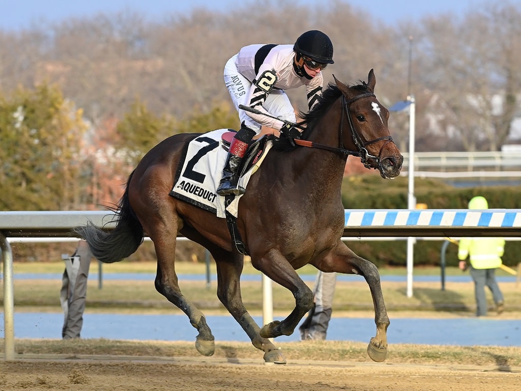 Into Mischief's Occult dominates Aqueduct's Busanda S. - Spendthrift ...