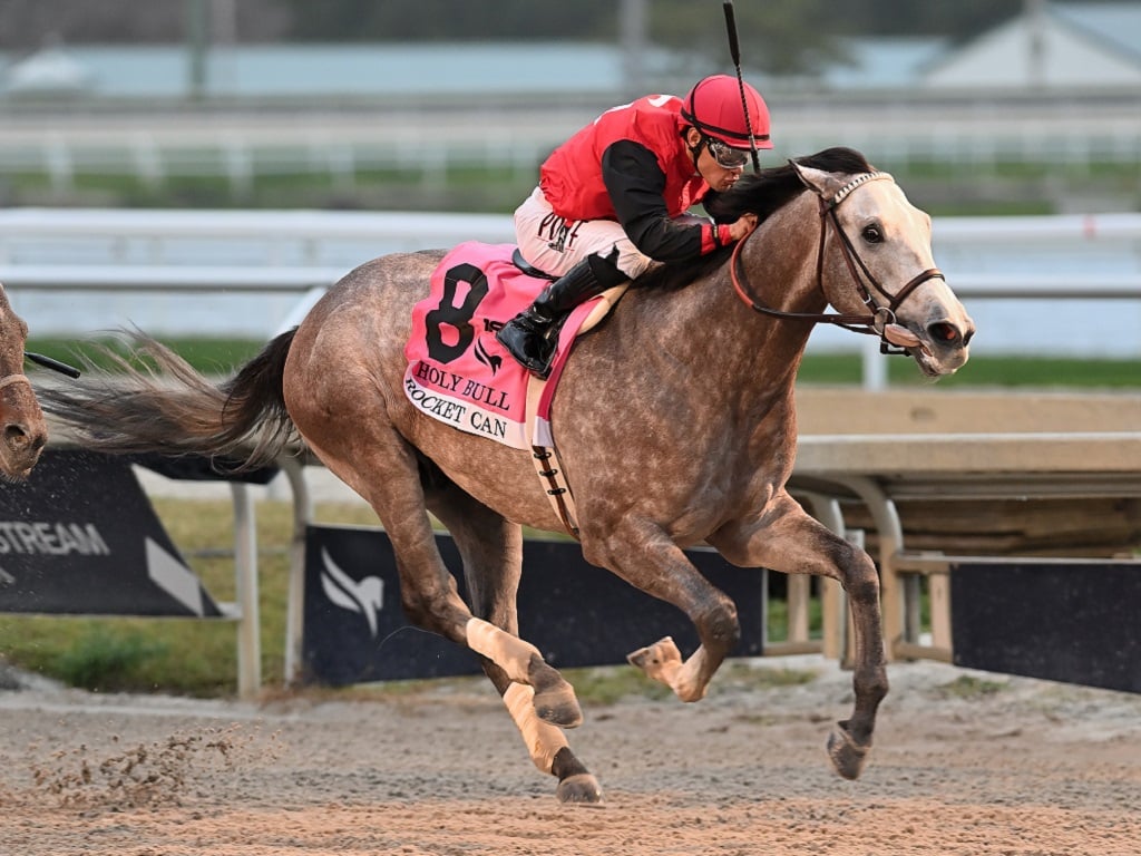 Holy Bull (G3) victor Rocket Can one of three Graded SWs on day for ...