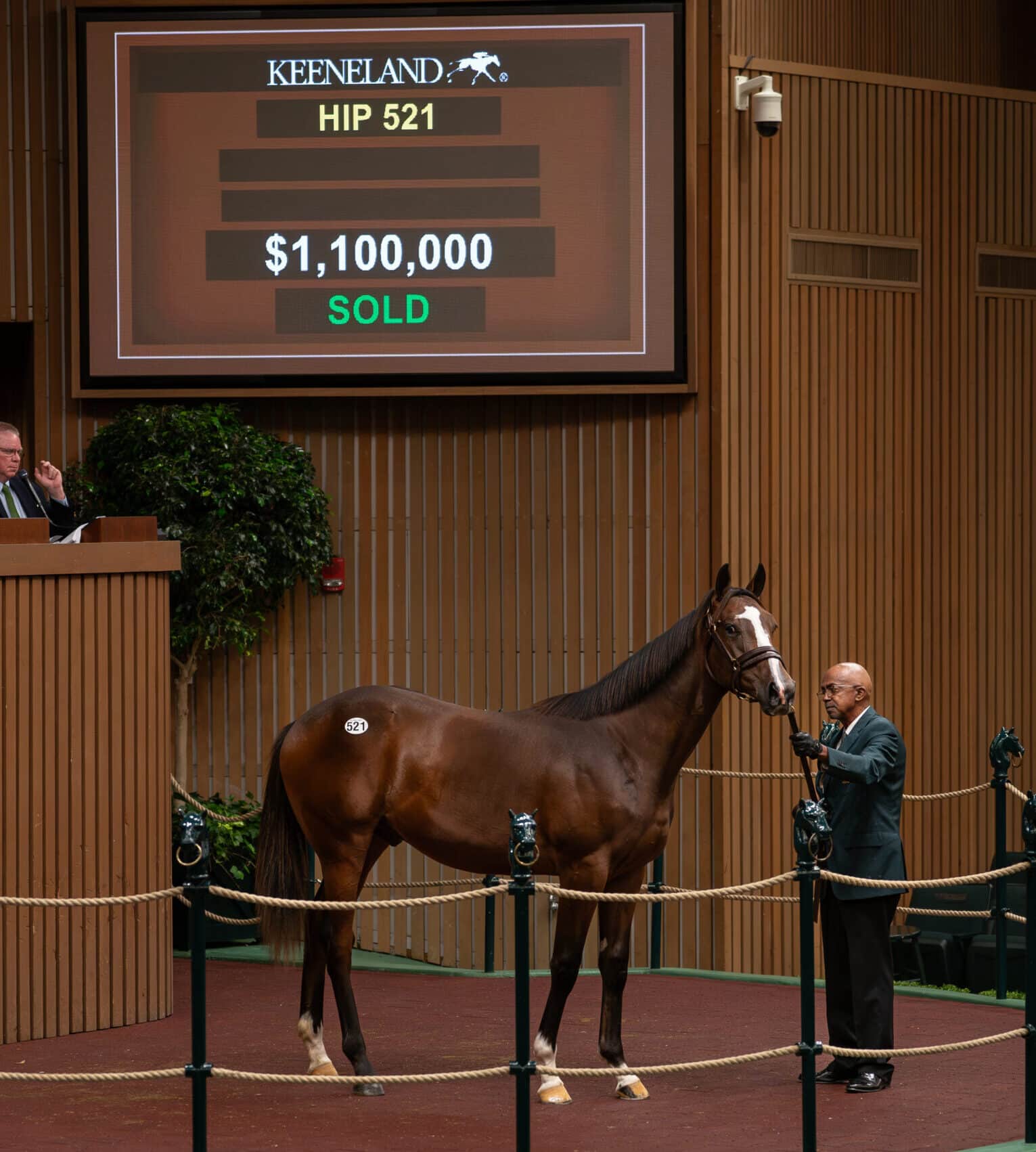 Into Mischief's historic momentum continues at Keeneland September ...