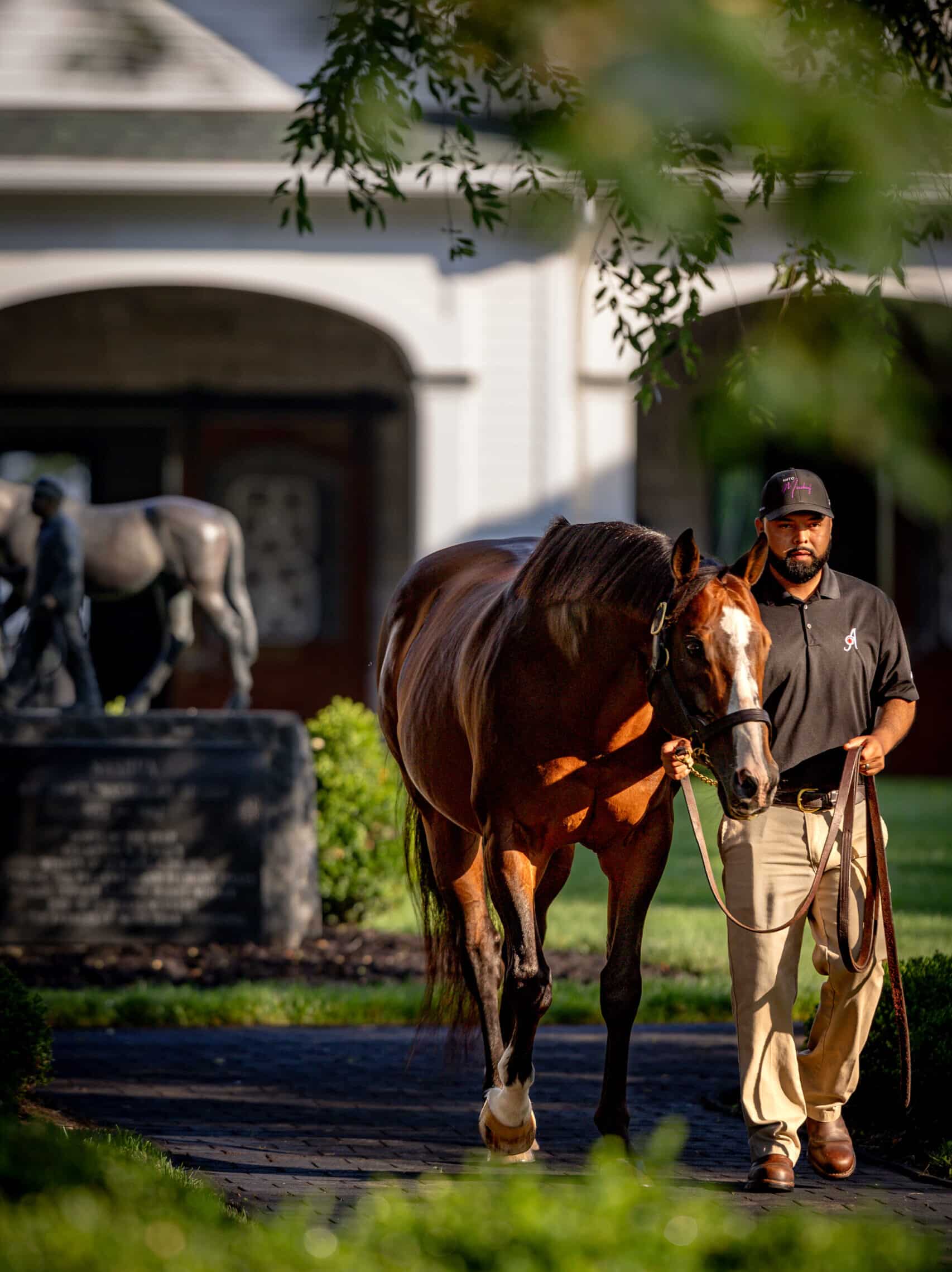 Spendthrift announces 2024 stallion roster & fees - Spendthrift - A ...