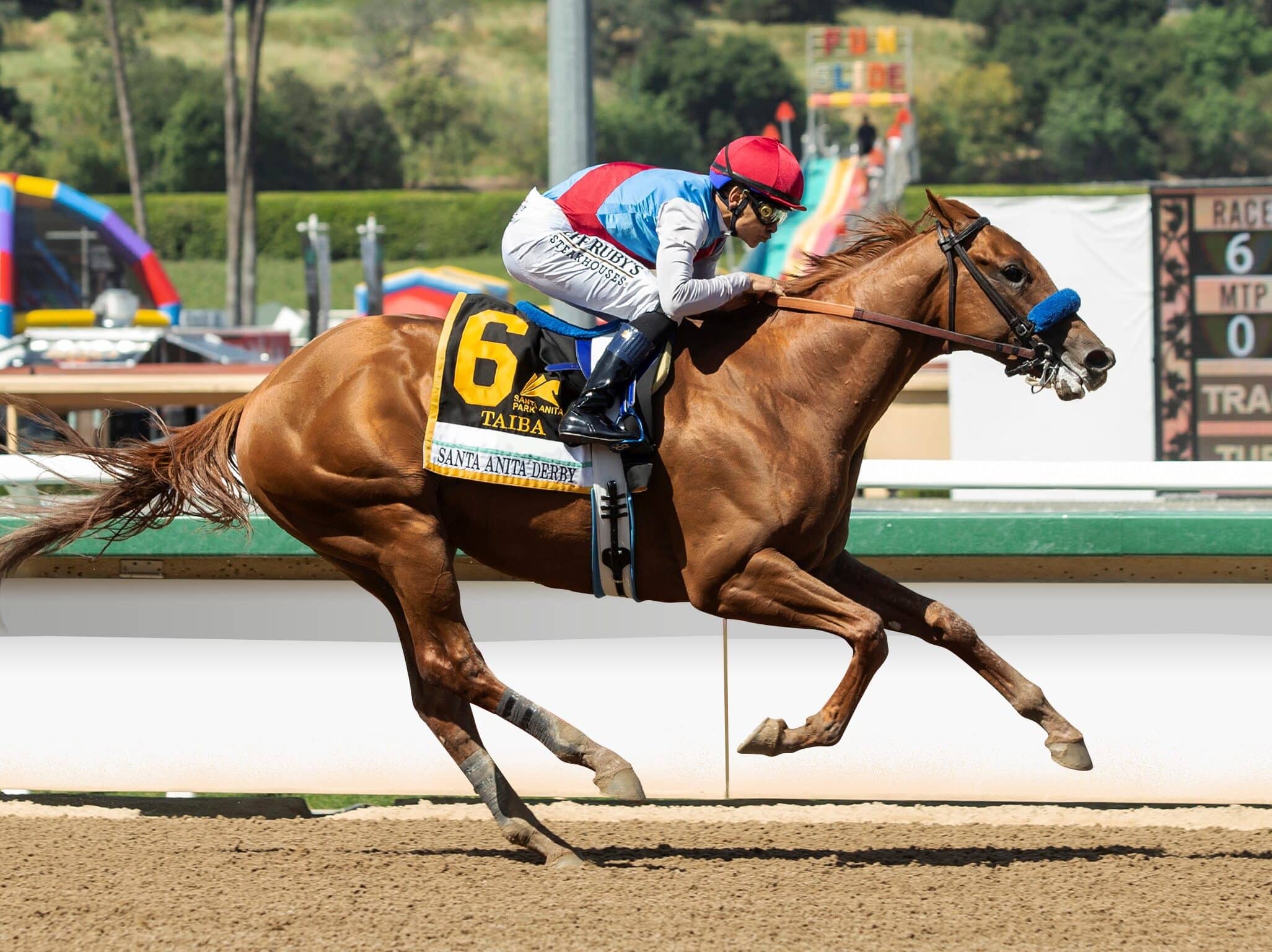 Taiba - Thoroughbred Stallion at Spendthrift Farm, KY