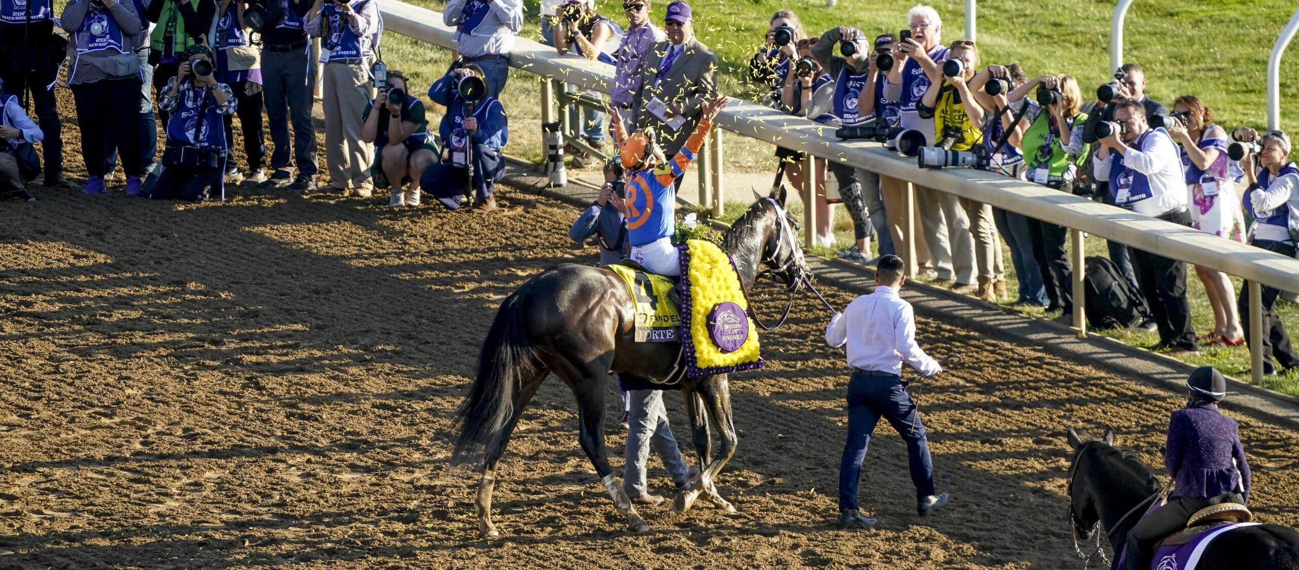 Forte - Thoroughbred Stallion at Spendthrift Farm, KY