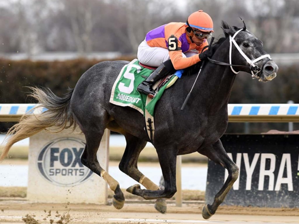 Bergen very strong in Jimmy Winkfield S. win - Spendthrift - A Kentucky ...