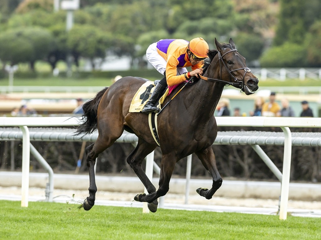 Ruby Nell an easy winner of the $100,000 Lady of Shamrock S ...