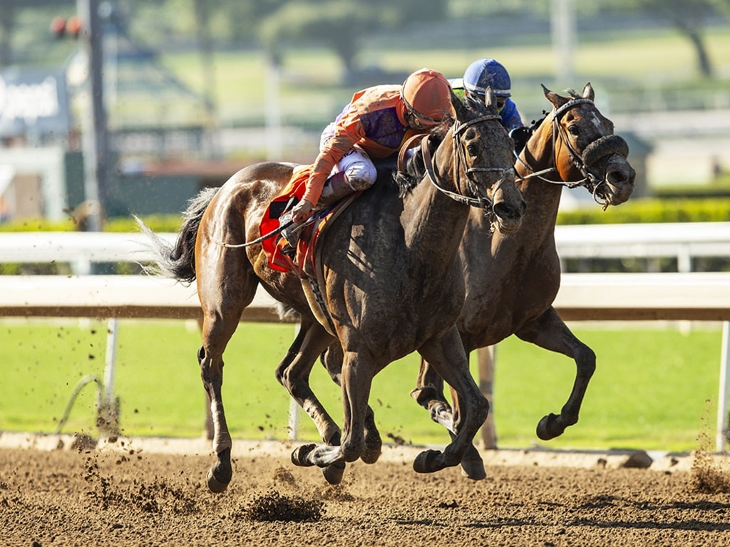 Coffee in Bed digs deep to win Santa Maria S. (G2) - Spendthrift - A ...
