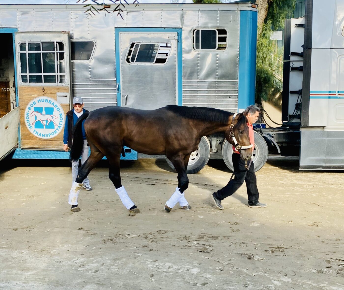 The Blog - Spendthrift - A Kentucky Thoroughbred Stallion Farm