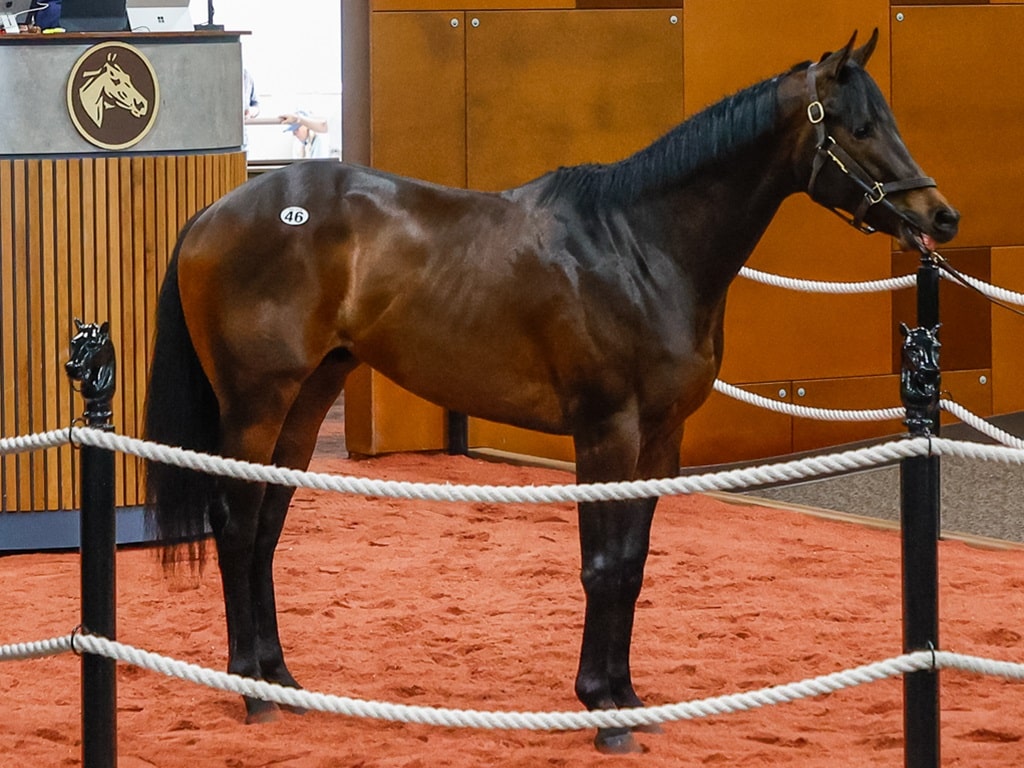 Thousand Words starts hot at F-T Midlantic with $190,000 colt ...