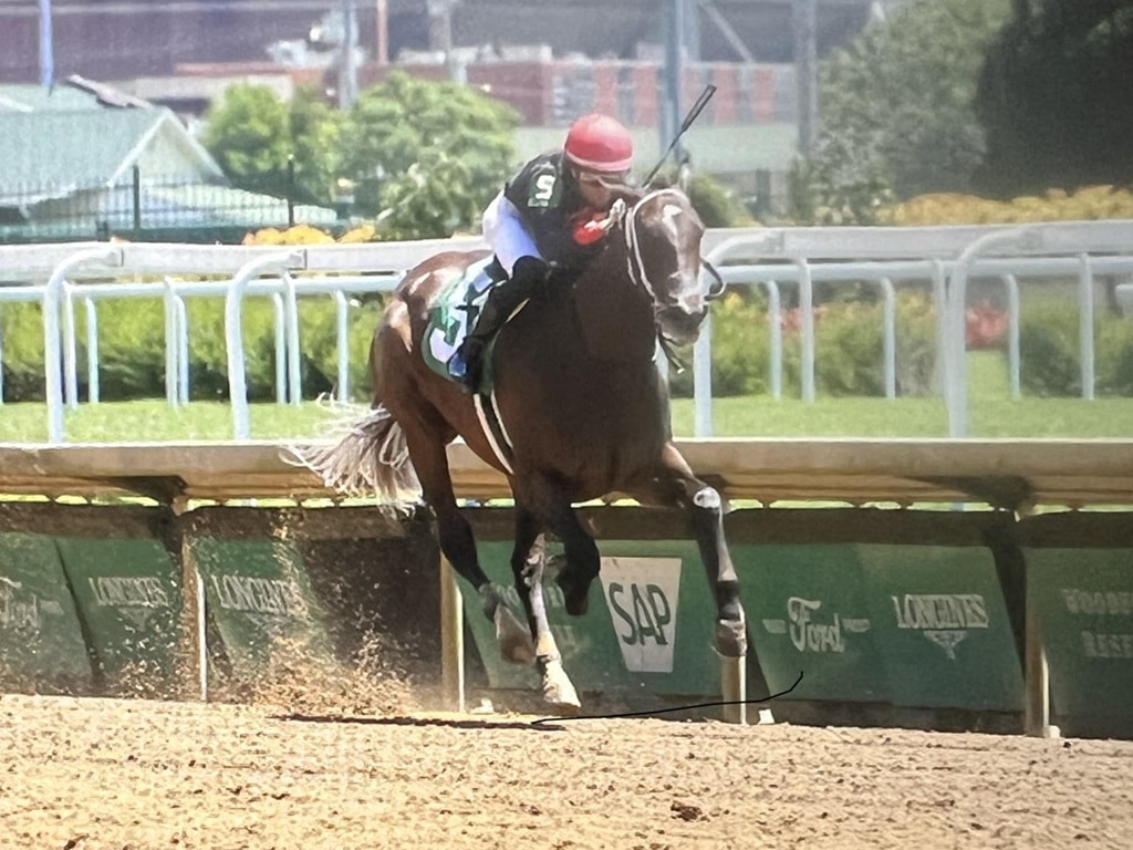 Adeera a very sharp first winner for Horse of the Year Authentic ...