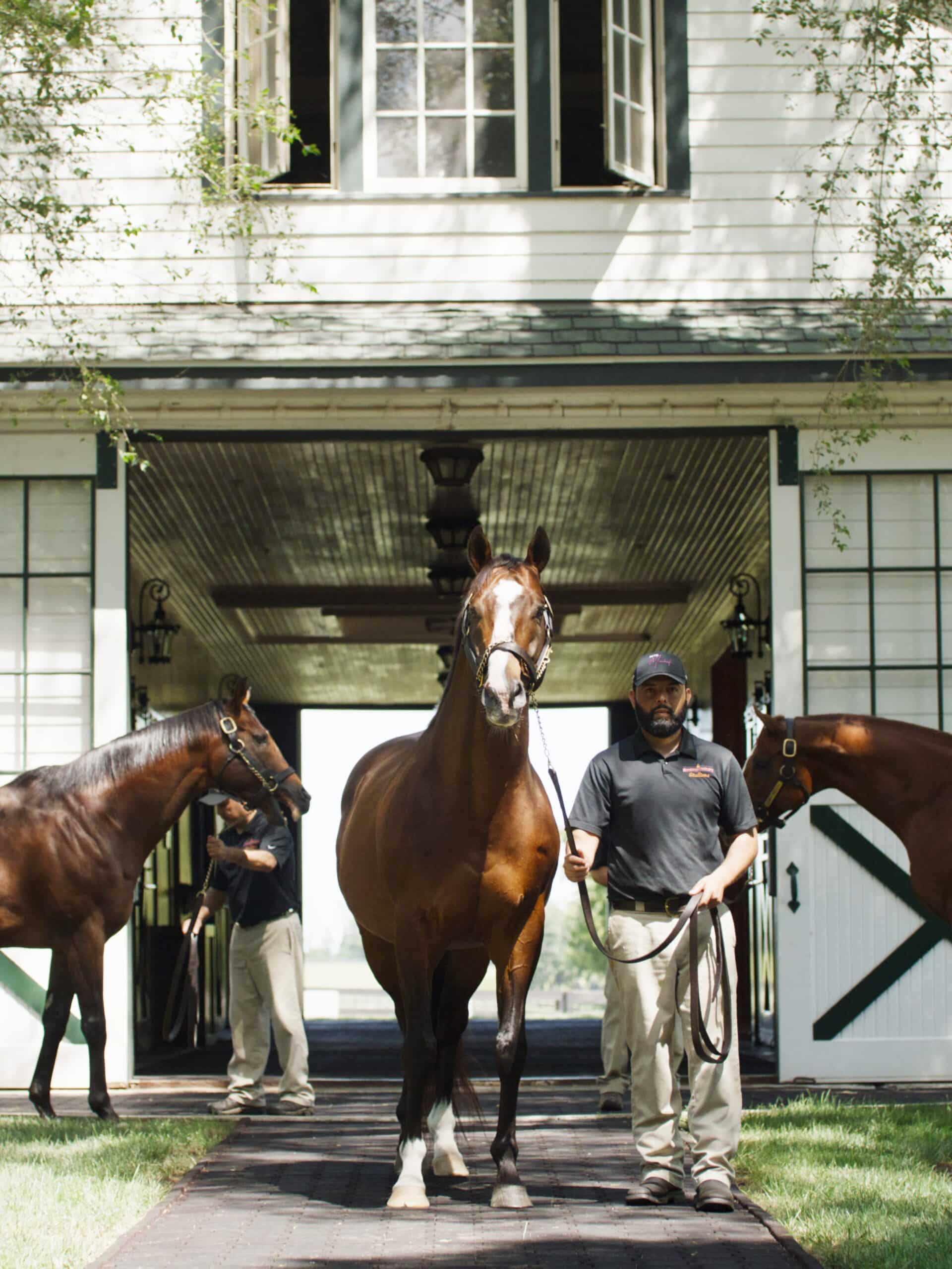 Forms + Nicks - Spendthrift - A Kentucky Thoroughbred Stallion Farm
