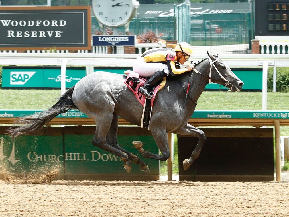 No. 1 First-Crop Sire Vekoma gets two new MdSpWt winners on debut at ...