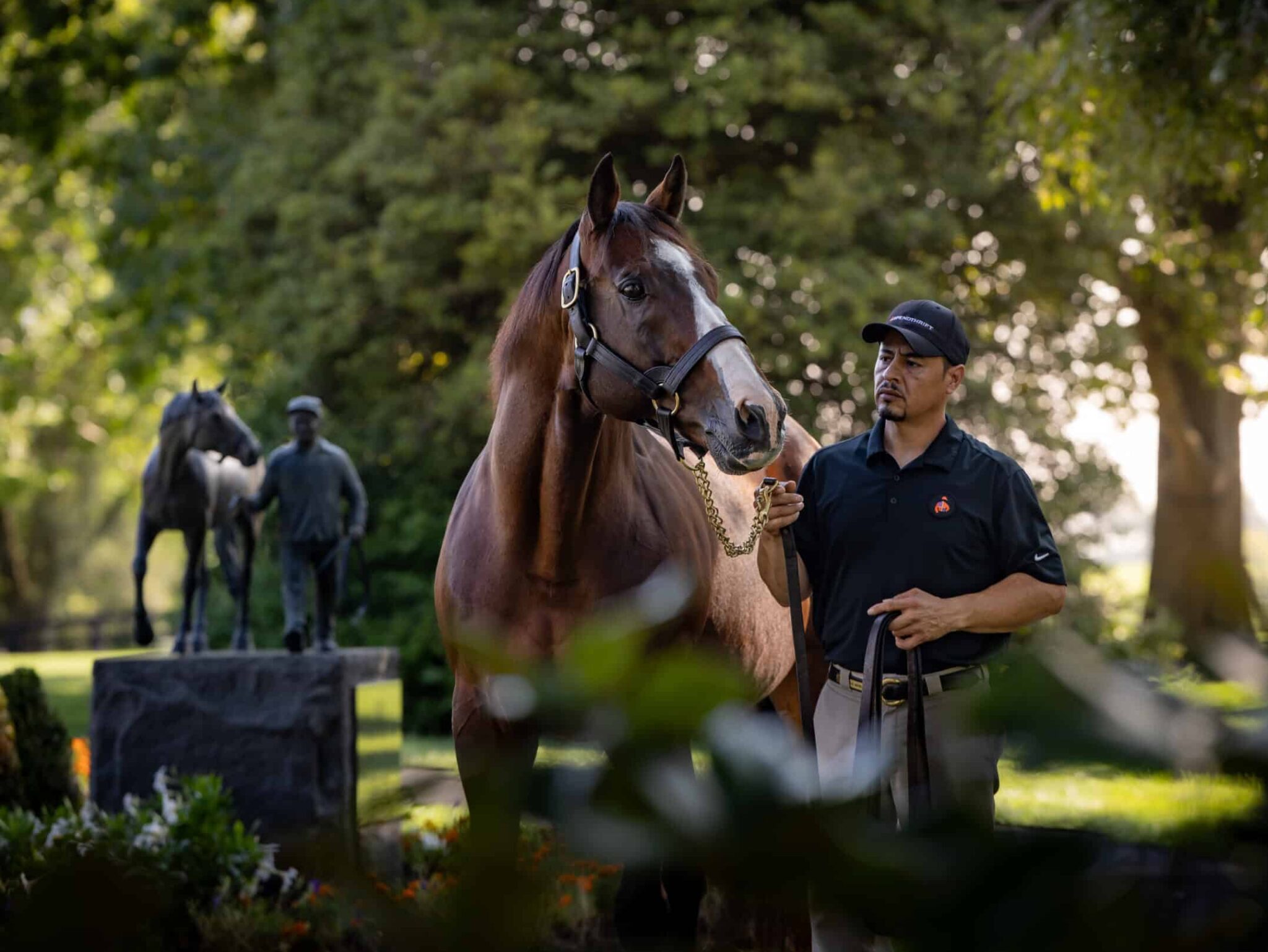 Spendthrift announces 2025 stud fees, again led by 5-time Champion Sire ...