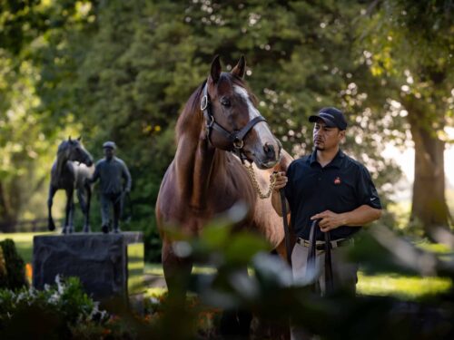 Spendthrift announces 2025 stud fees, again led by 5-time Champion Sire ...
