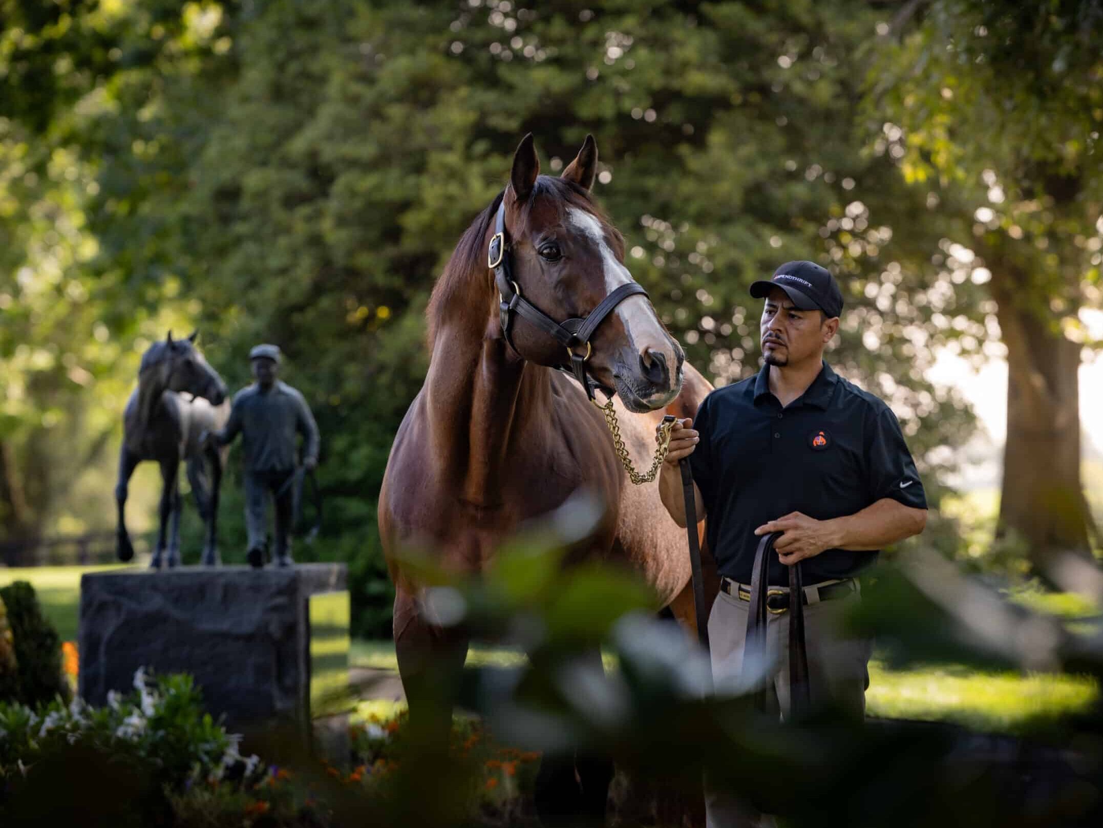 Spendthrift announces 2025 stud fees, again led by 5-time Champion Sire ...