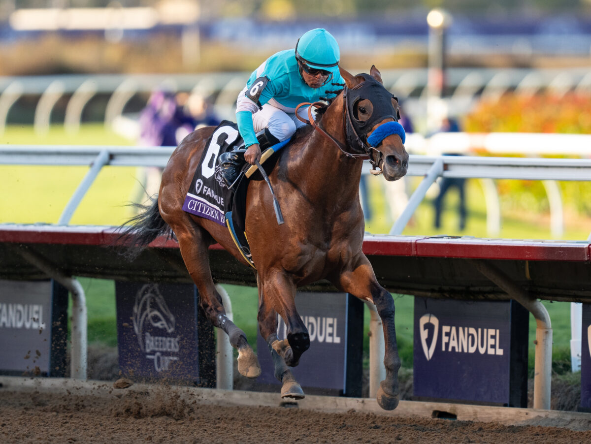 Citizen Bull gives Into Mischief a record-tying 8 Breeders' Cup wins ...