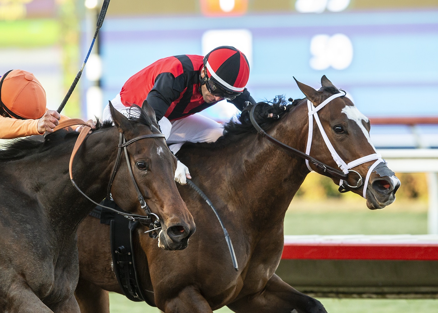 Undefeated Sandy Bottom leads Spendthrift-bred exacta - Spendthrift - A ...