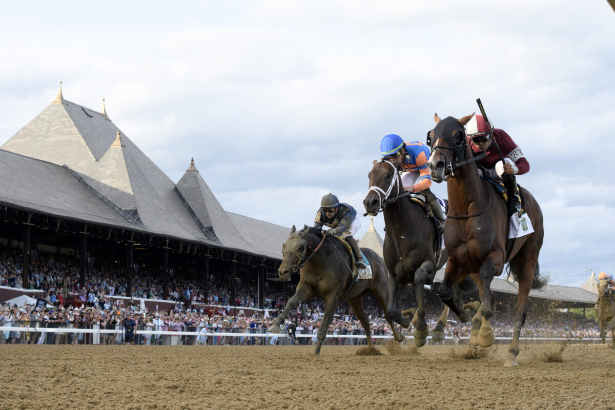 Dornoch - Thoroughbred Stallion at Spendthrift Farm, KY