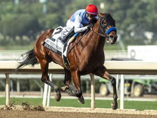 Barnes gives Into Mischief his 80th lifetime Graded Stakes winner ...