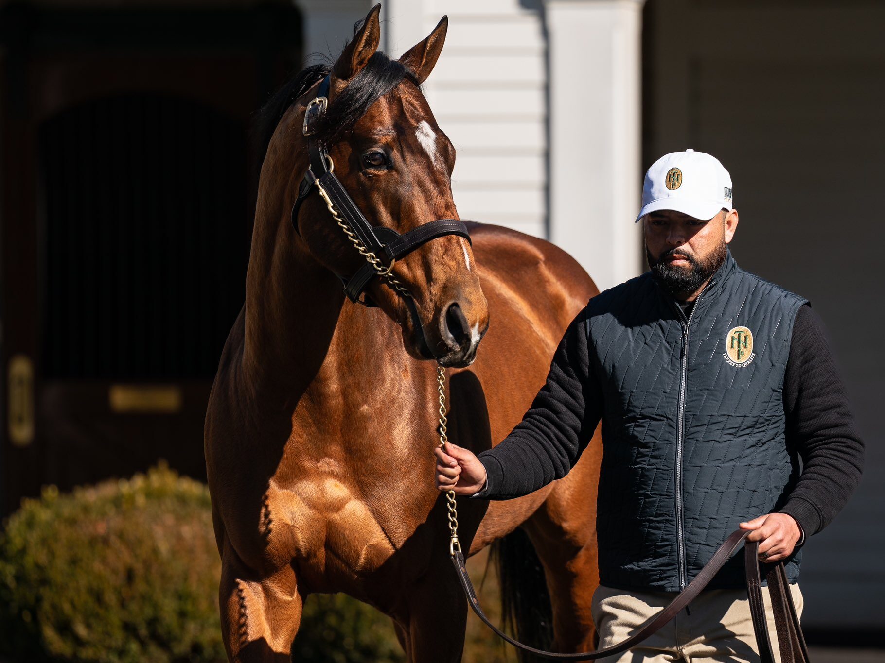 Home - Spendthrift - A Kentucky Thoroughbred Stallion Farm