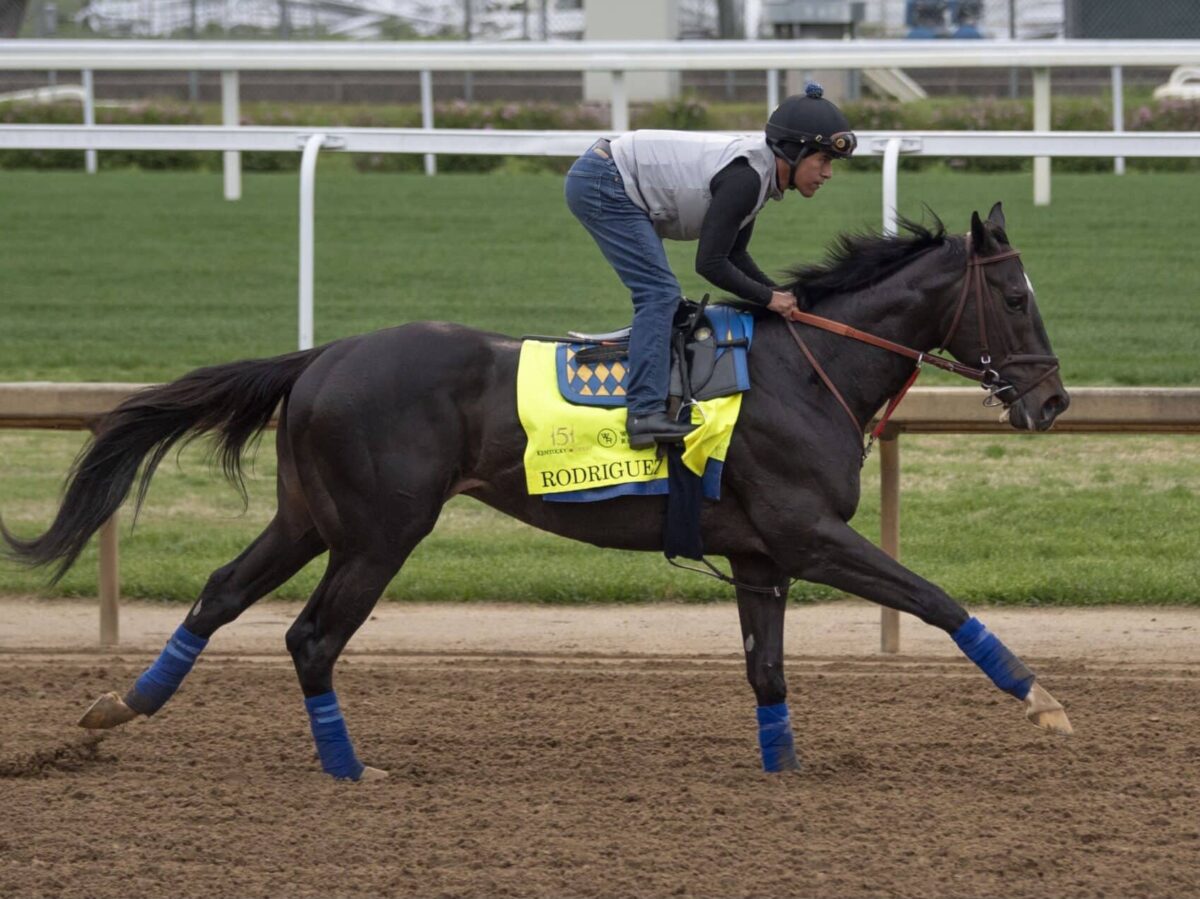 Rodriguez the first Kentucky Derby (G1) starter for Authentic ...
