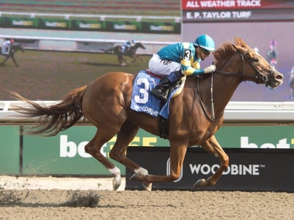 Creed's Gold razor sharp in dominant Hendrie S. (G3) win - Spendthrift ...