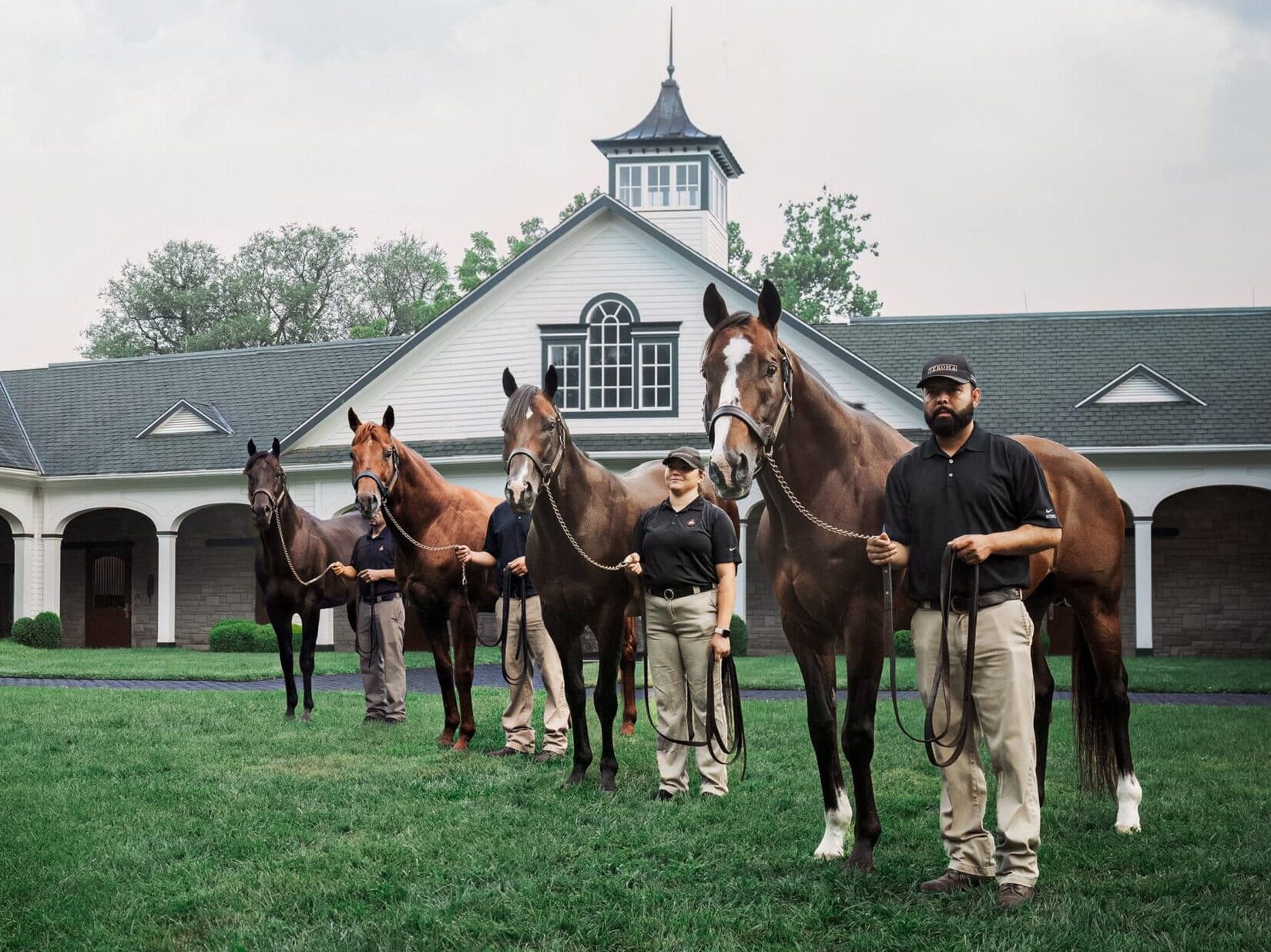 Spendthrift Announces 2026 Stallions & Fees, Again Led by 6-Time ...