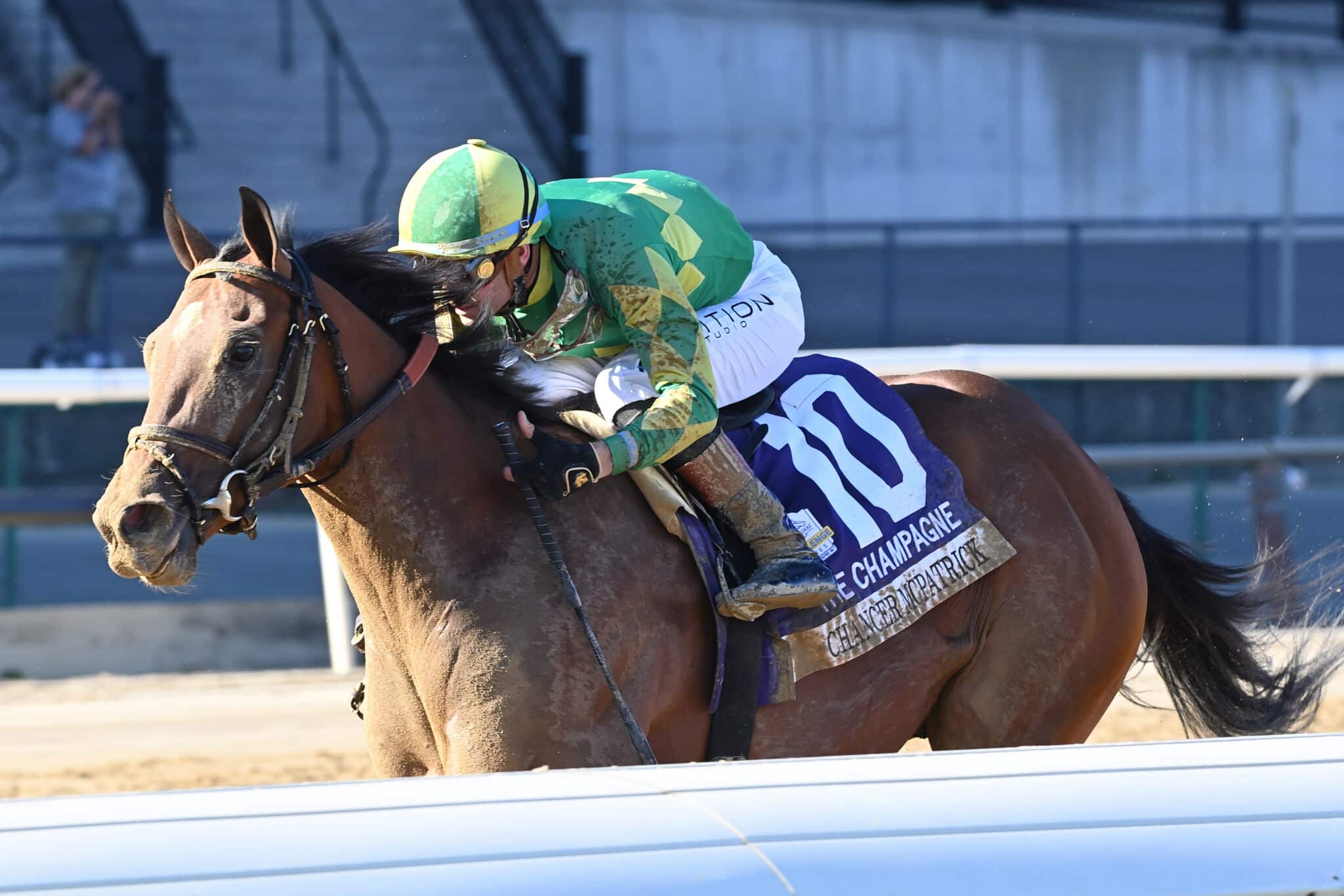 Chancer McPatrick - Thoroughbred Stallion at Spendthrift Farm, KY
