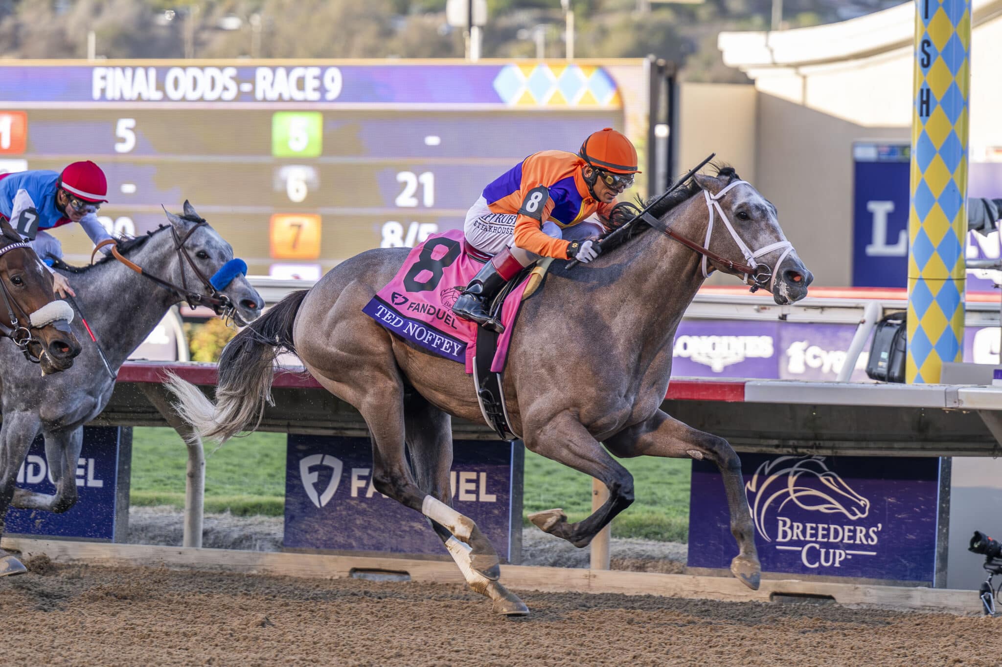 Champion Juvenile Ted Noffey Sidelined with Bone Bruising - Spendthrift ...