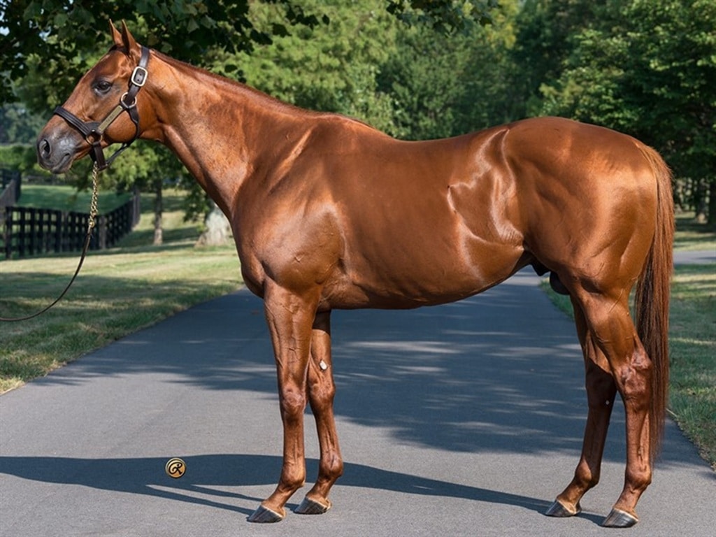 Taiba has sales-topper at OBS January sale - Spendthrift - A Kentucky ...
